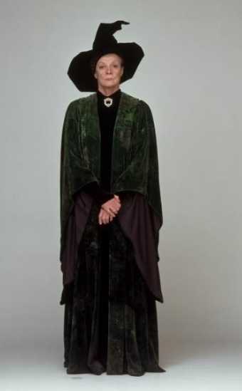 Professor Mcgonagall Costume For Adults Professor Mcgonagall Outfits ...