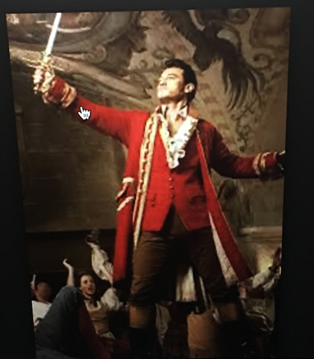 Adult Gaston Cosplay Costume Male Gaston Costume For Sale – Lydiacosplay
